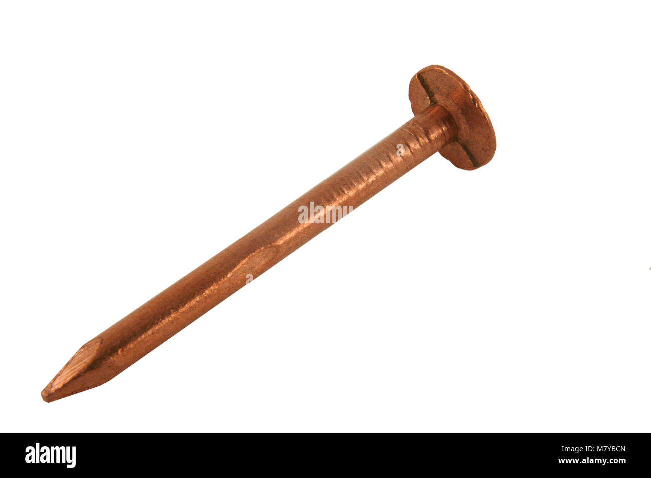 A Isolated Copper Nail on white background Stock Photo - Alamy