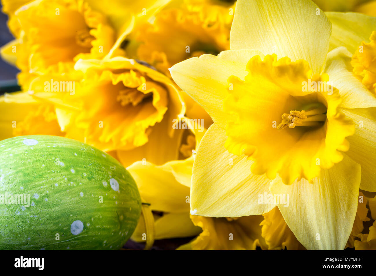 Bunch of daffodils on the wooden background with easter eggs for Easter ...