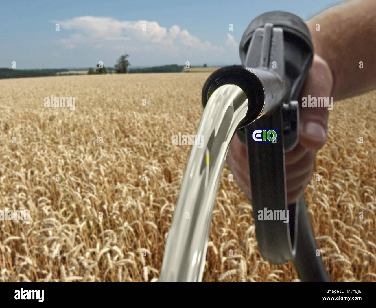 Bioethanol E10 wheat Stock Photo - Alamy