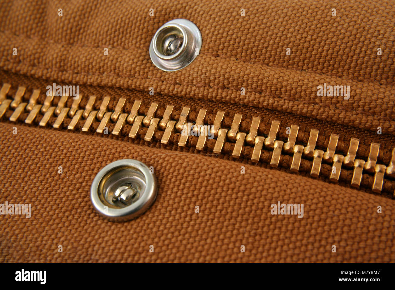 A Large gold zipper macro with snaps Stock Photo - Alamy