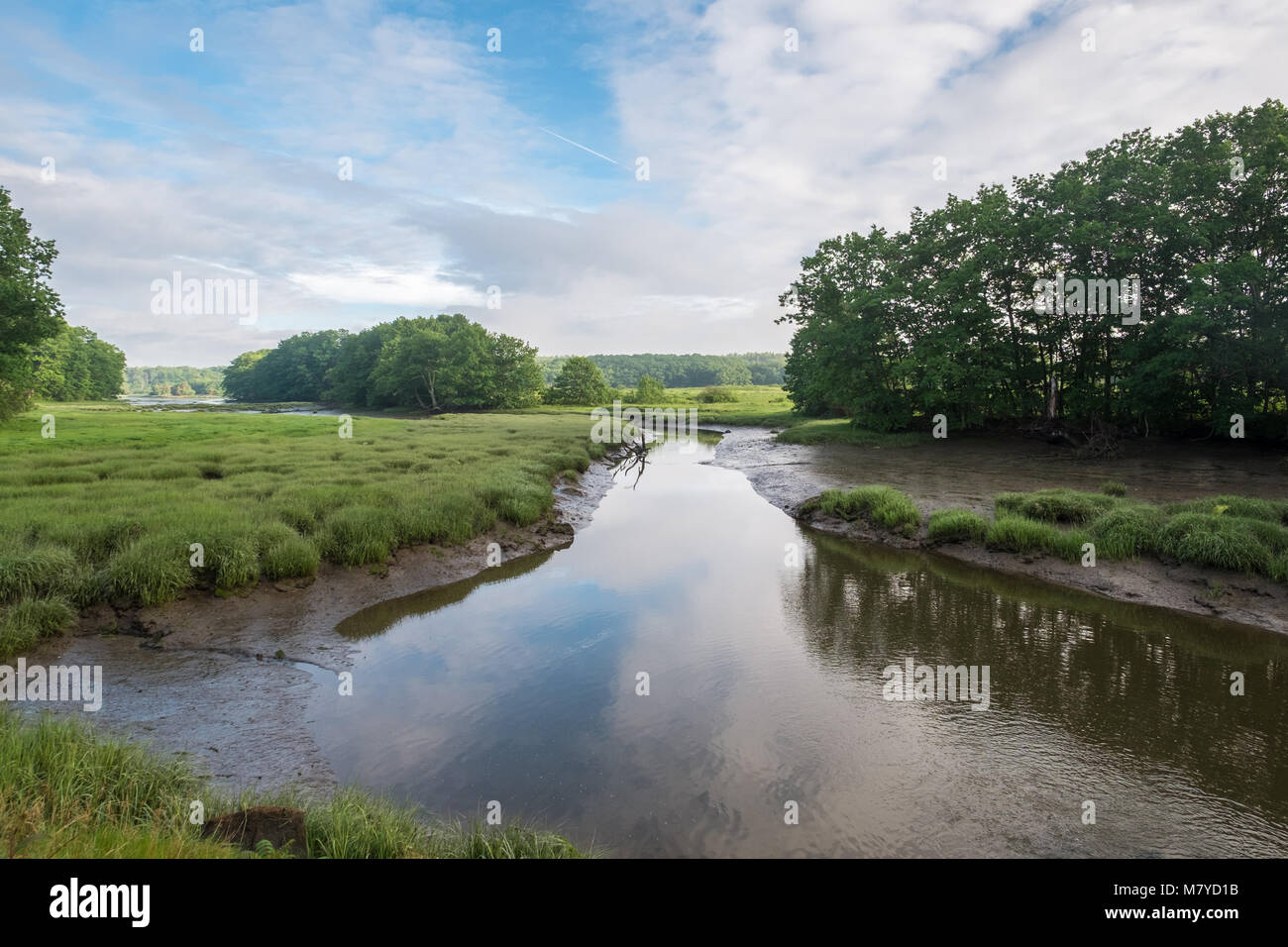 A salt marsh at mid tide in summer Stock Photo - Alamy