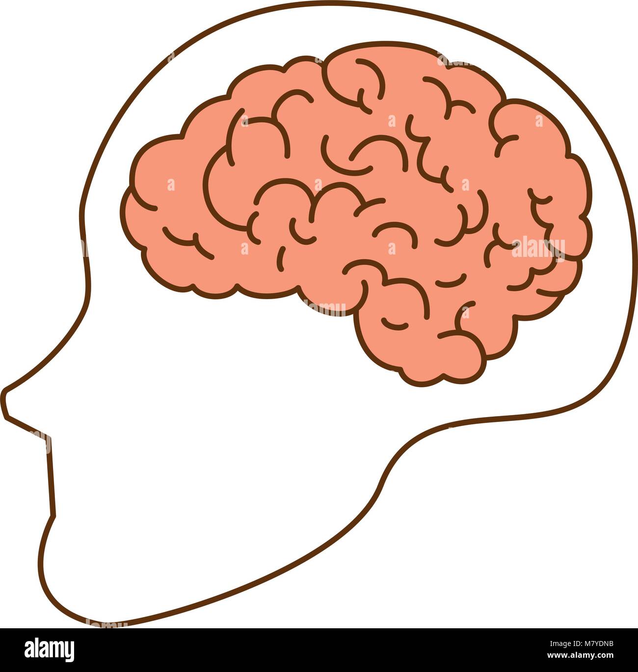 human profile with brain vector illustration design Stock Vector Image ...