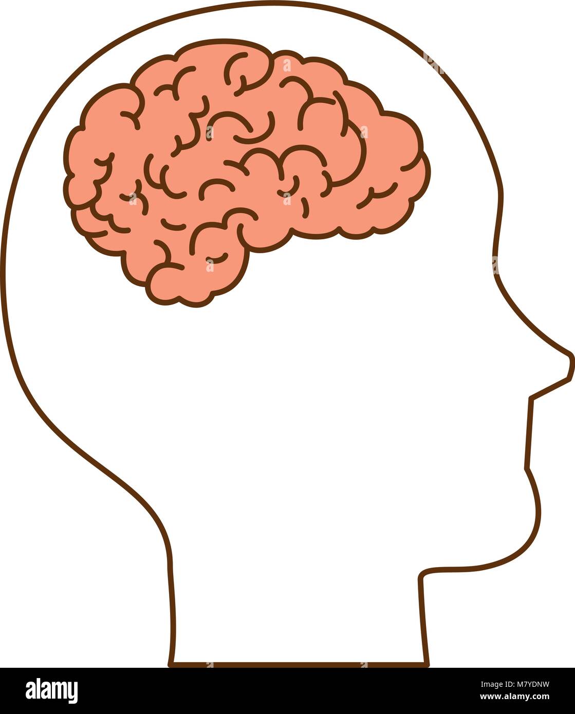 human profile with brain vector illustration design Stock Vector Image ...