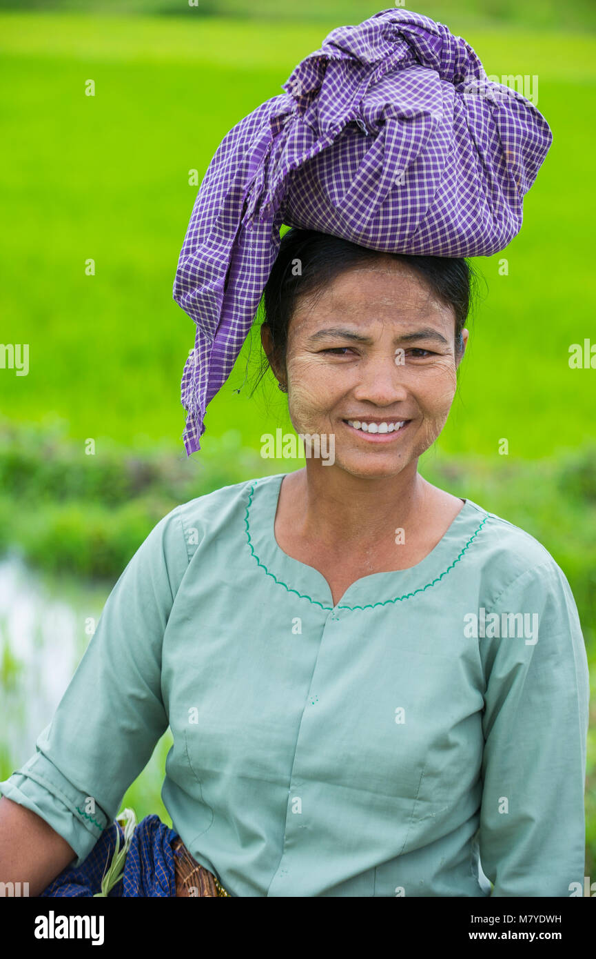SHAN STATE , MYANMAR - SEP 06: Portrait of Burmese farmer working at a ...