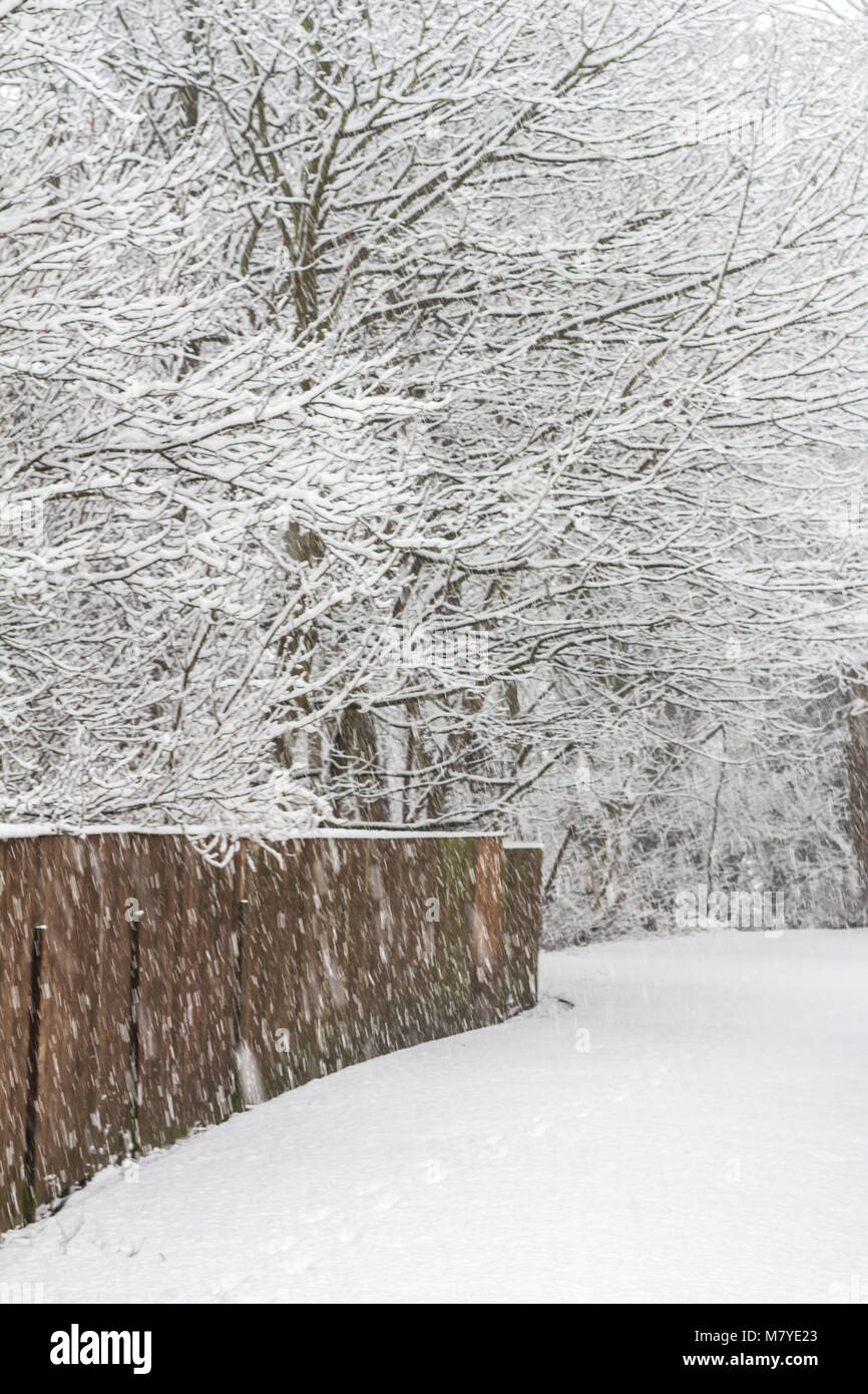 Snow fall in yorkshire, beast from the east Stock Photo - Alamy