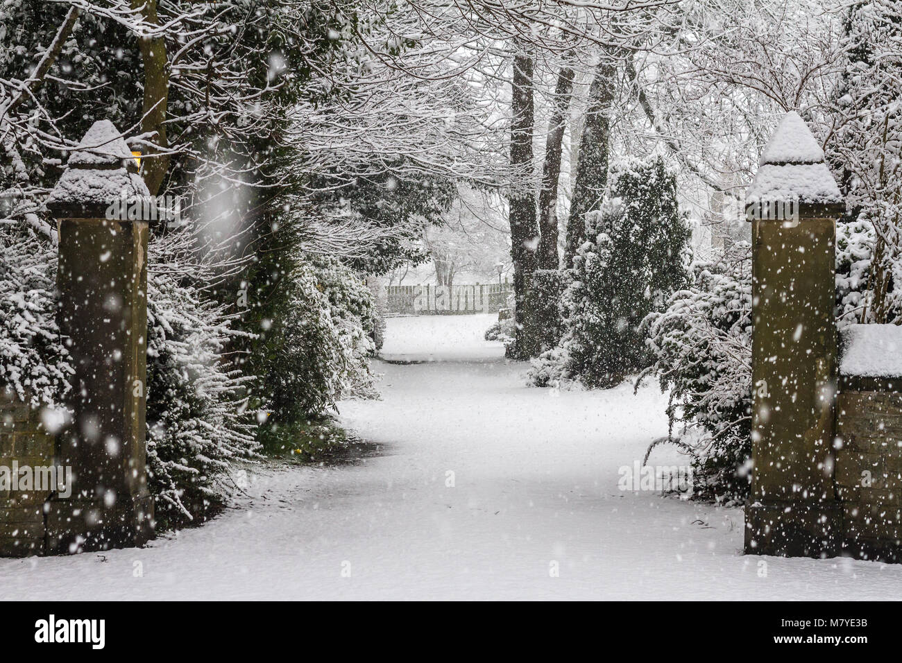 Snow fall in yorkshire, beast from the east Stock Photo - Alamy