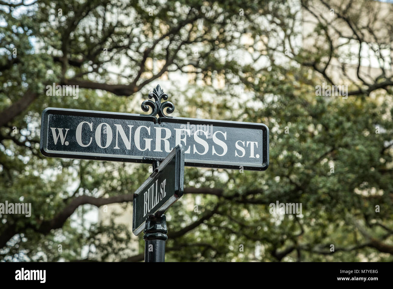 Savannah georgia victorian hi-res stock photography and images - Alamy