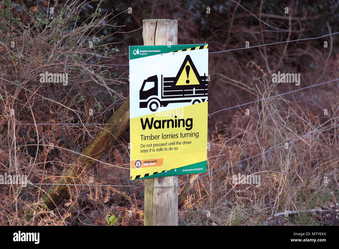 Logging dangers hi-res stock photography and images - Alamy