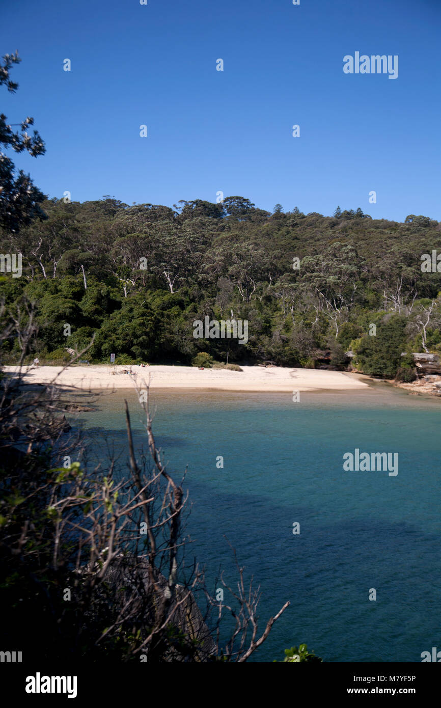 collins beach manly sydney new south wales australia Stock Photo - Alamy