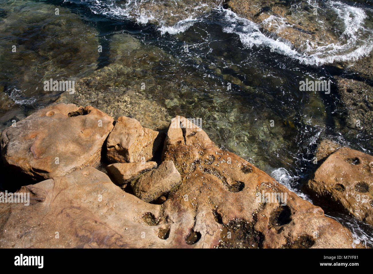 Rock pool manly hi-res stock photography and images - Alamy