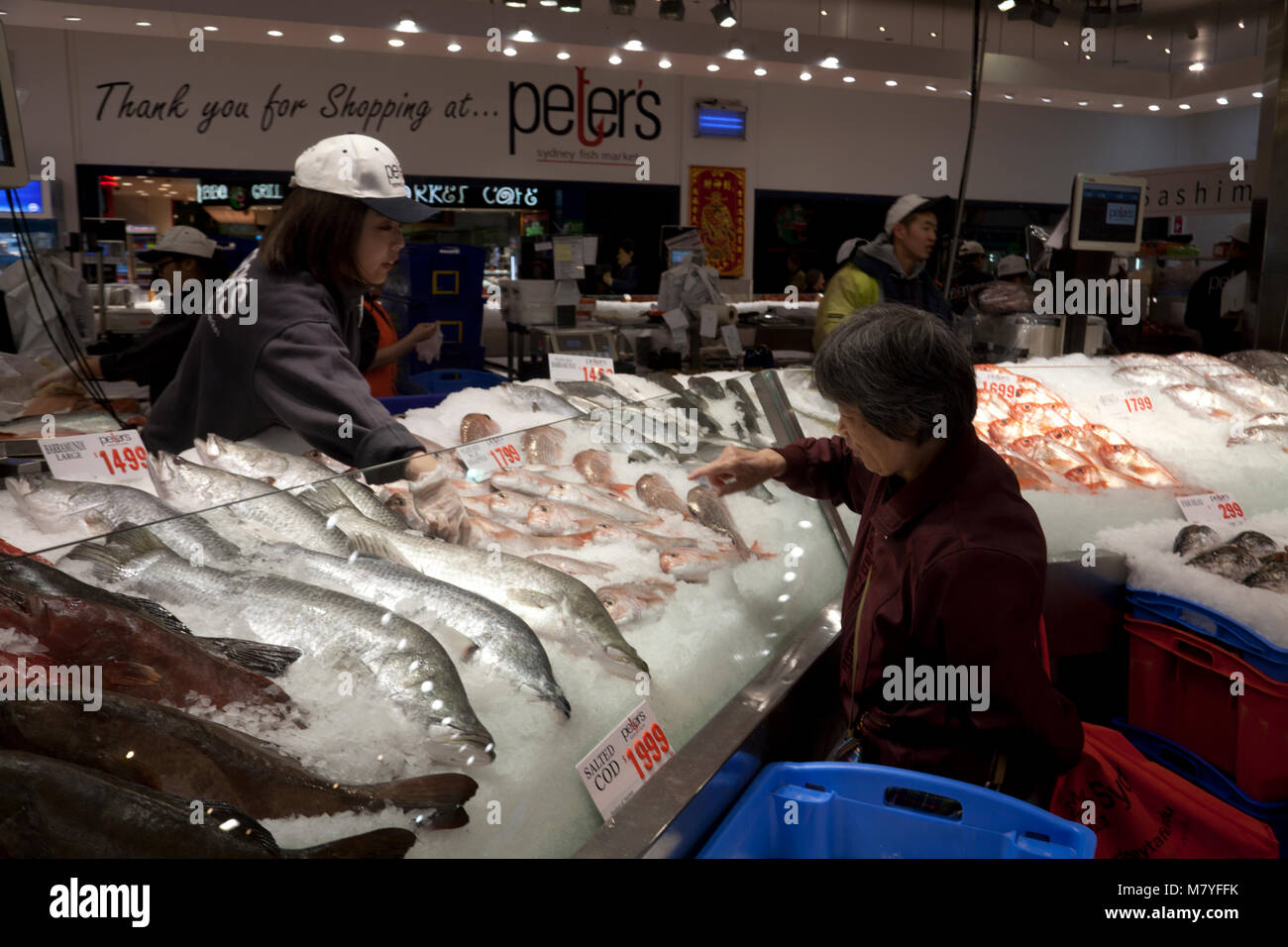 Inside fish market australia hi-res stock photography and images - Alamy