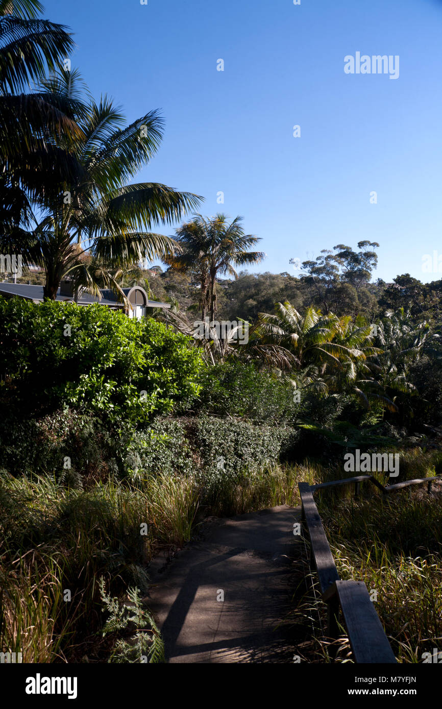 pathway headland park mosman sydney new south wales australia Stock ...