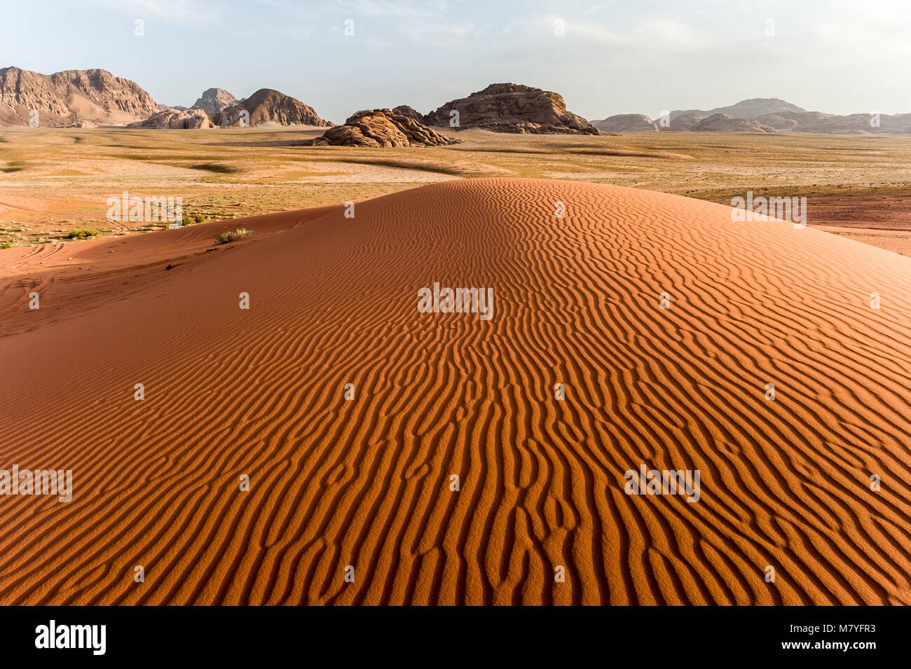 Wadi rum area hi-res stock photography and images - Alamy