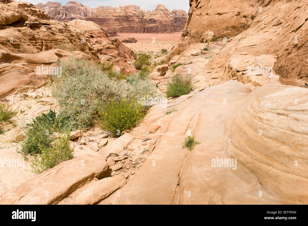 Wadi Rum , The Valley of the Moon, is a valley cut into the sandstone ...