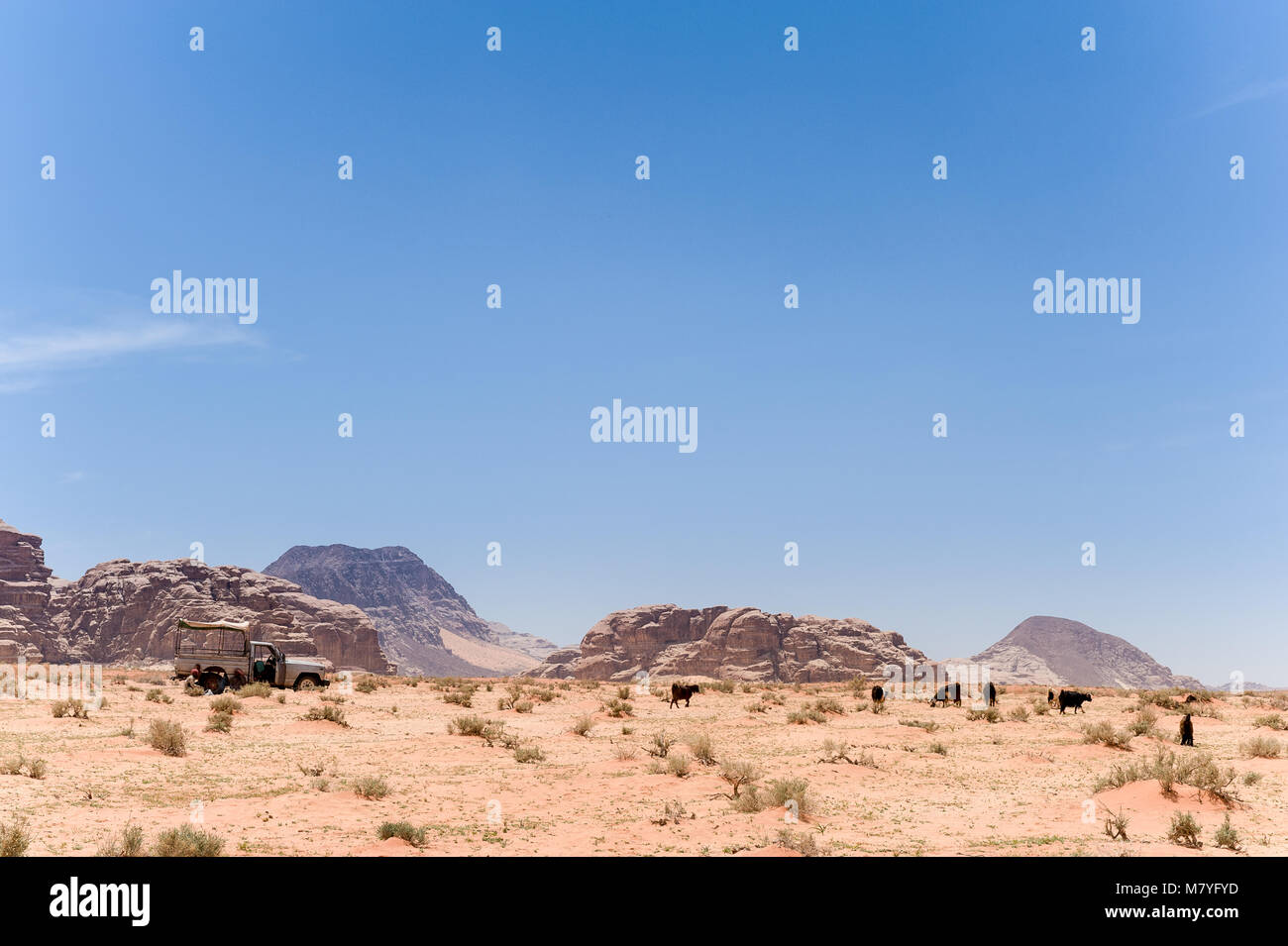 Wadi Rum , The Valley of the Moon, is a valley cut into the sandstone ...