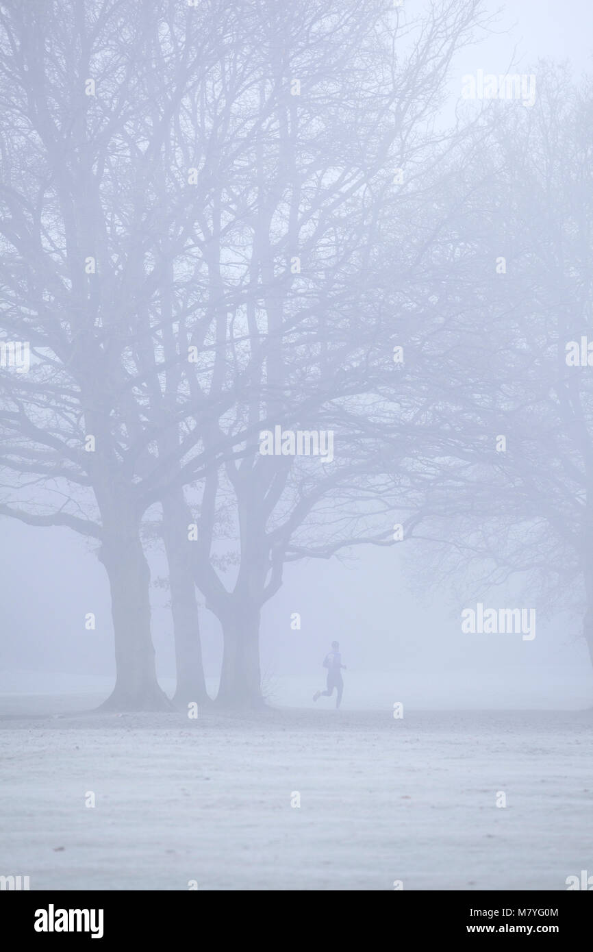 jogging in the park with early morning mist Stock Photo - Alamy