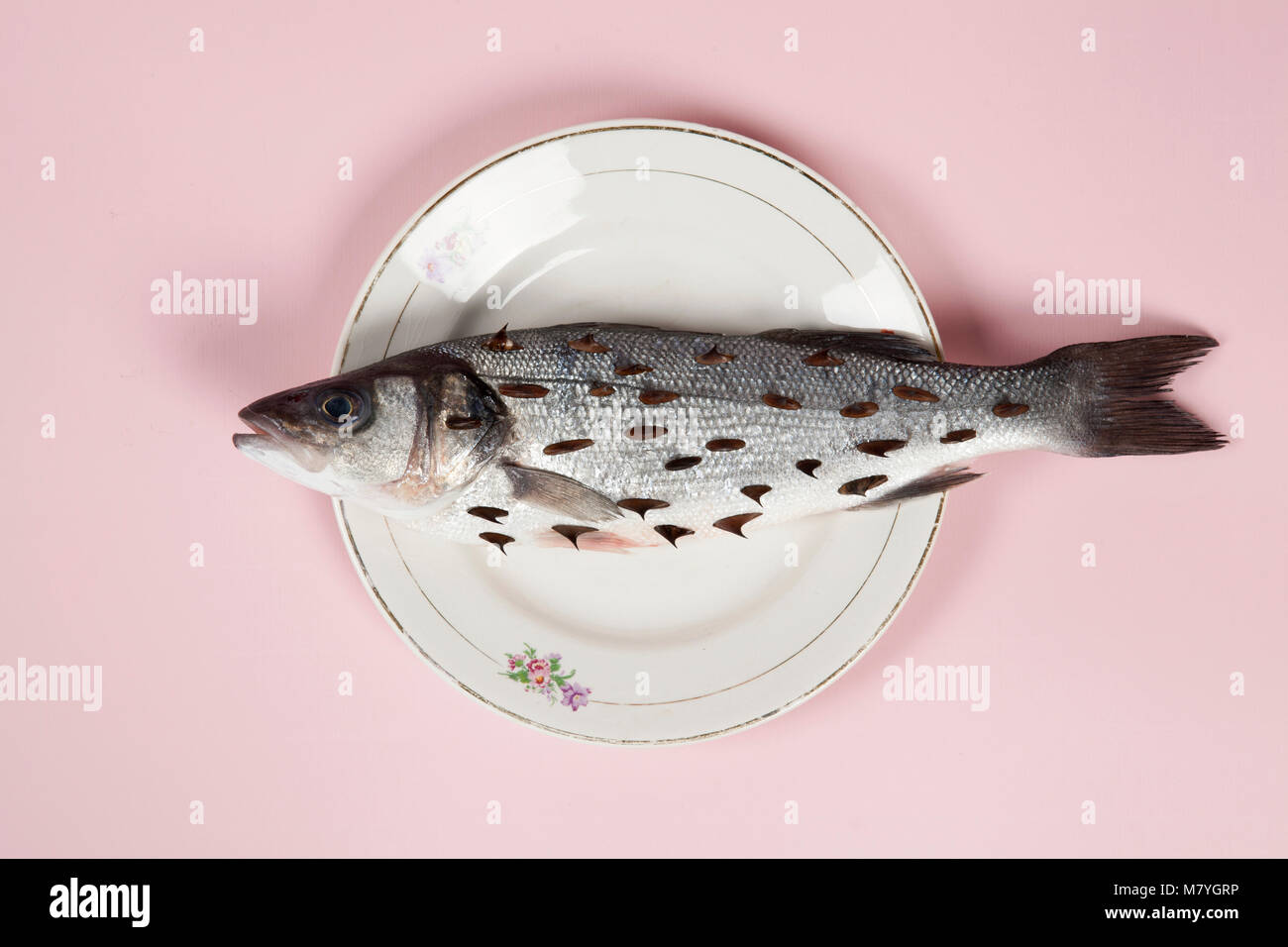 A bass fish with rosebush, thorns in a flower plate hidden on a vibrant ...