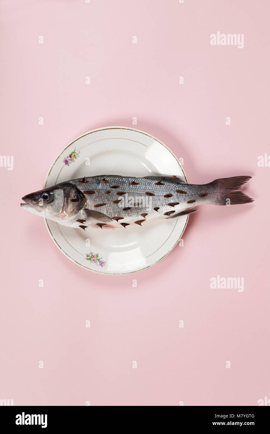 A bass fish with rosebush, thorns in a flower plate hidden on a vibrant ...