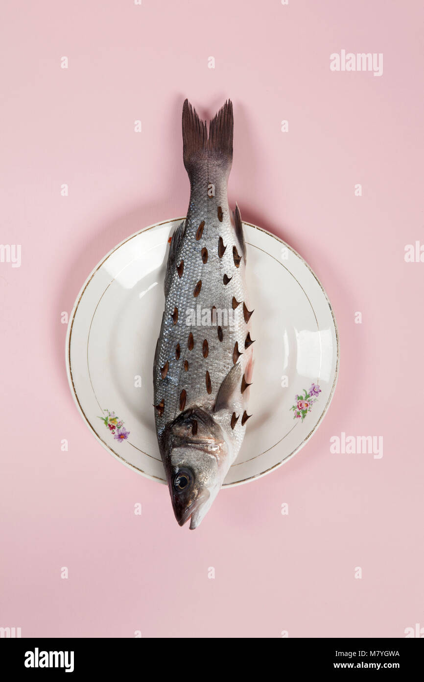A bass fish with rosebush, thorns in a flower plate hidden on a vibrant ...