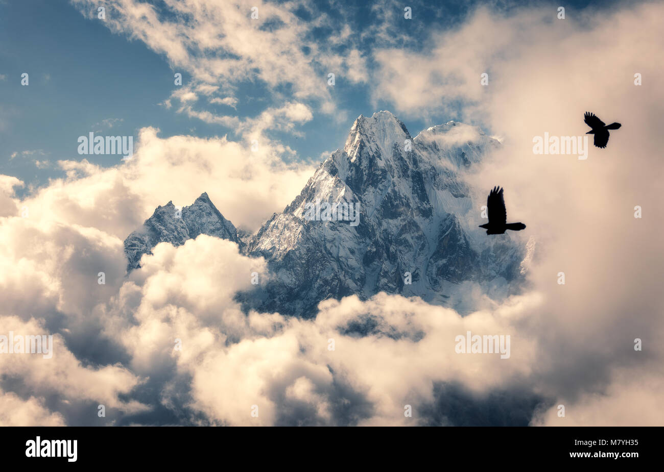 Two flying birds against majestical Manaslu mountain with snowy peak in ...