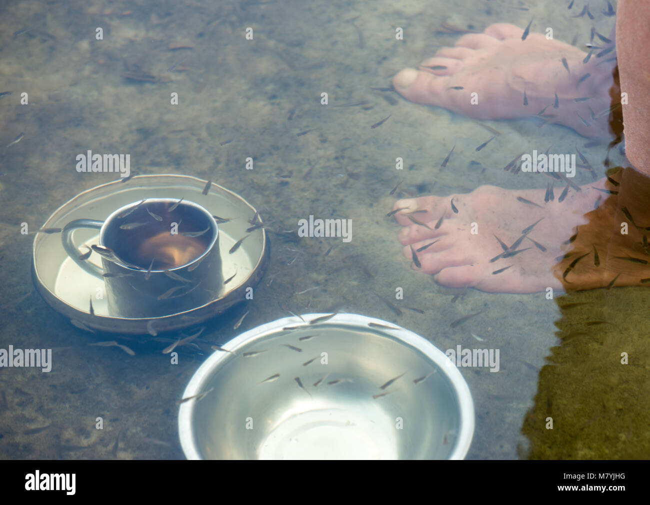Young fish hi-res stock photography and images - Alamy