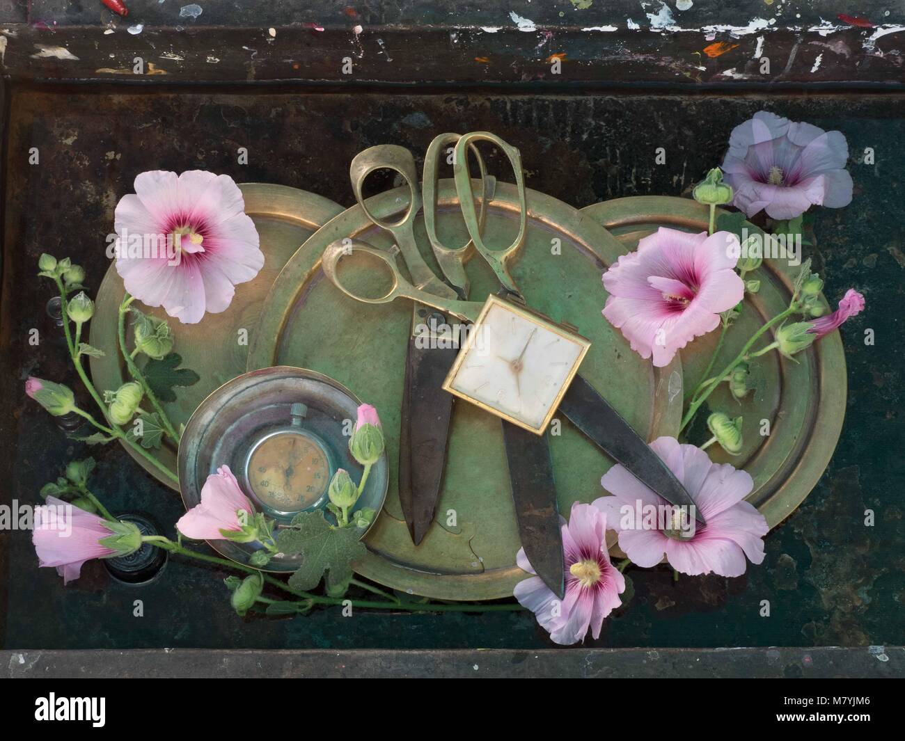 Art still life with vintage items: old antique scissors with copper ...