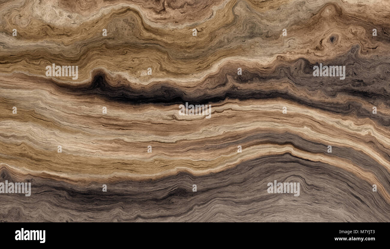 Texture of roots of tree with wavy lines and age rings. Colored ...