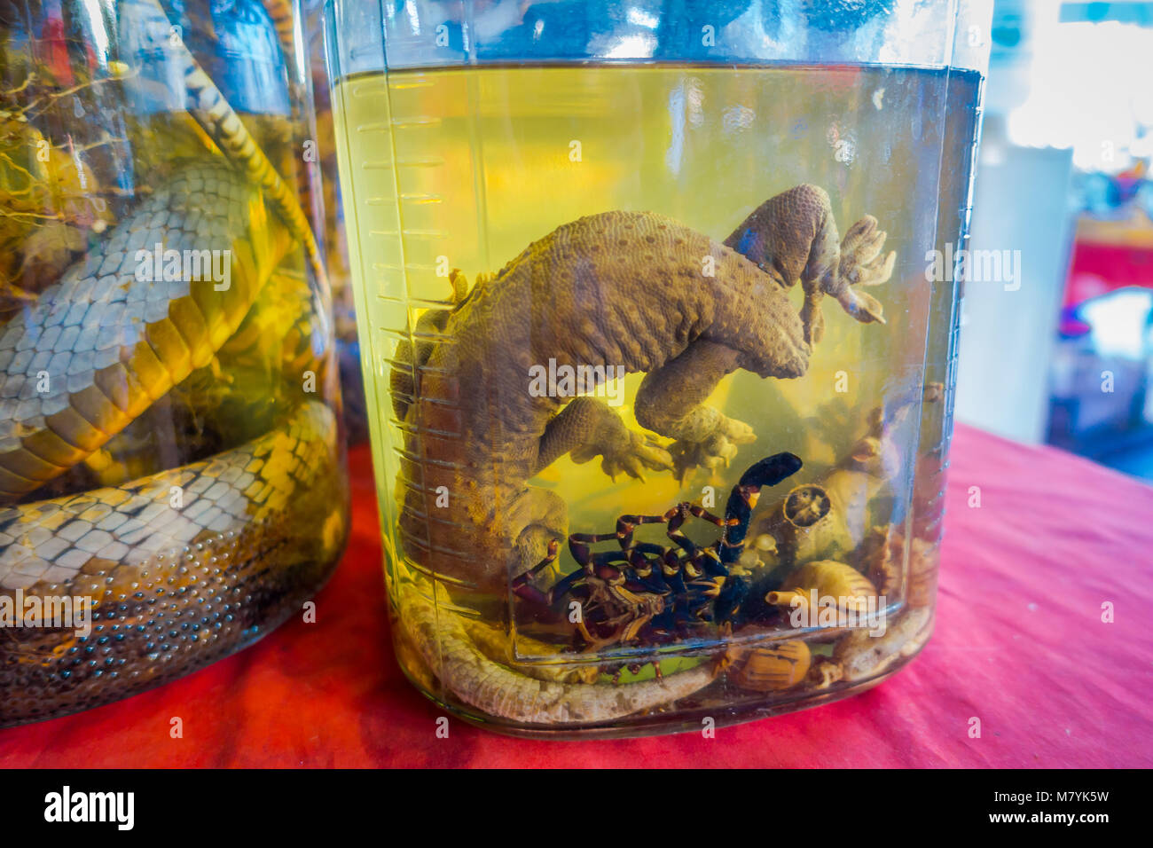 Inside Myanmar Border High Resolution Stock Photography and Images - Alamy