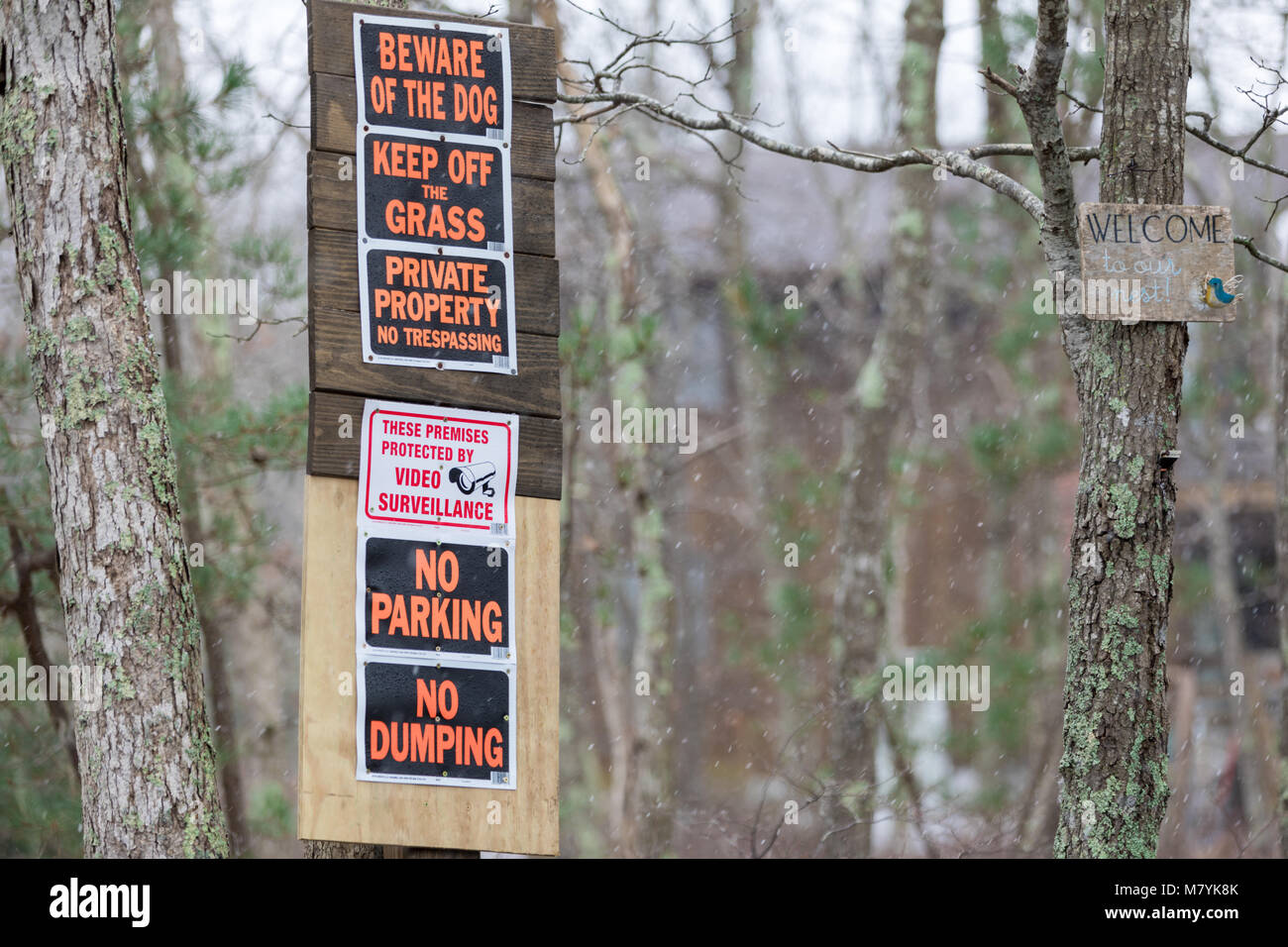 a tree plastered with signs of things not to do Stock Photo - Alamy