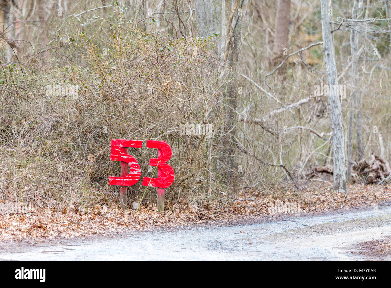 the number 53 in bright red on the side of the road serving as a house ...