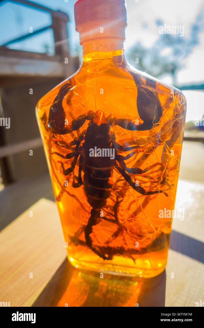Close up of scorpion animal inside of Whiskey flask prepared by locals ...
