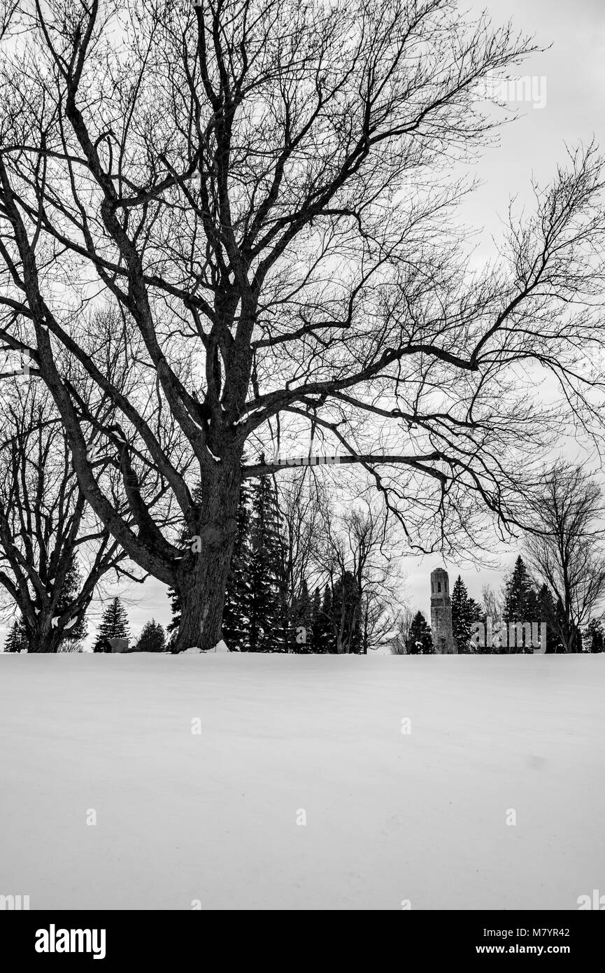 Snow covered winter panorama Black and White Stock Photos & Images - Alamy