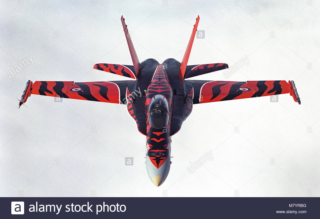 Nato Tiger Meet Nato High Resolution Stock Photography and Images - Alamy