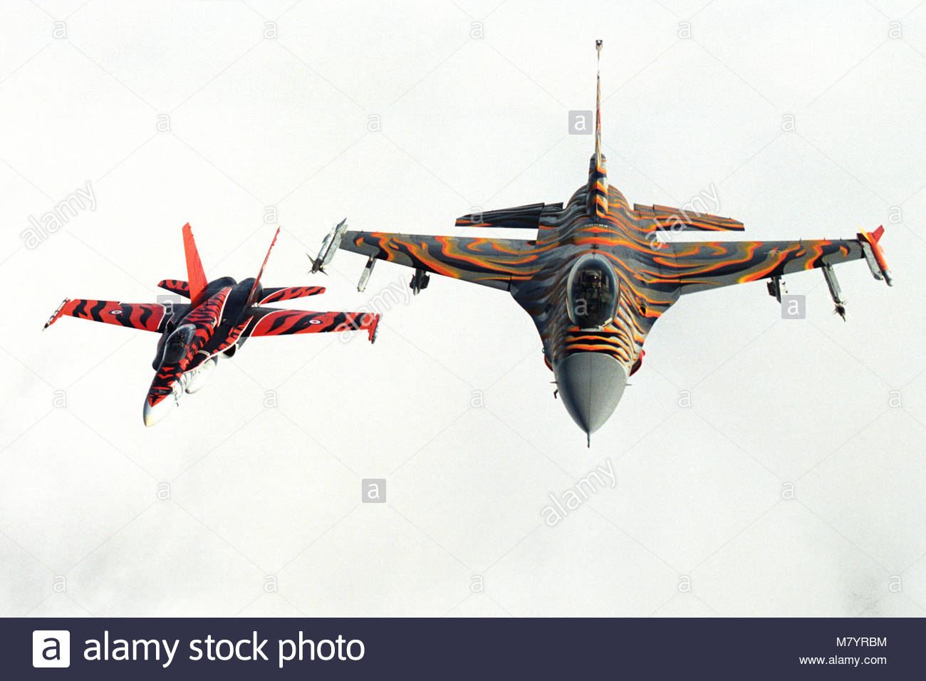 Nato Tiger Meet Nato High Resolution Stock Photography and Images - Alamy
