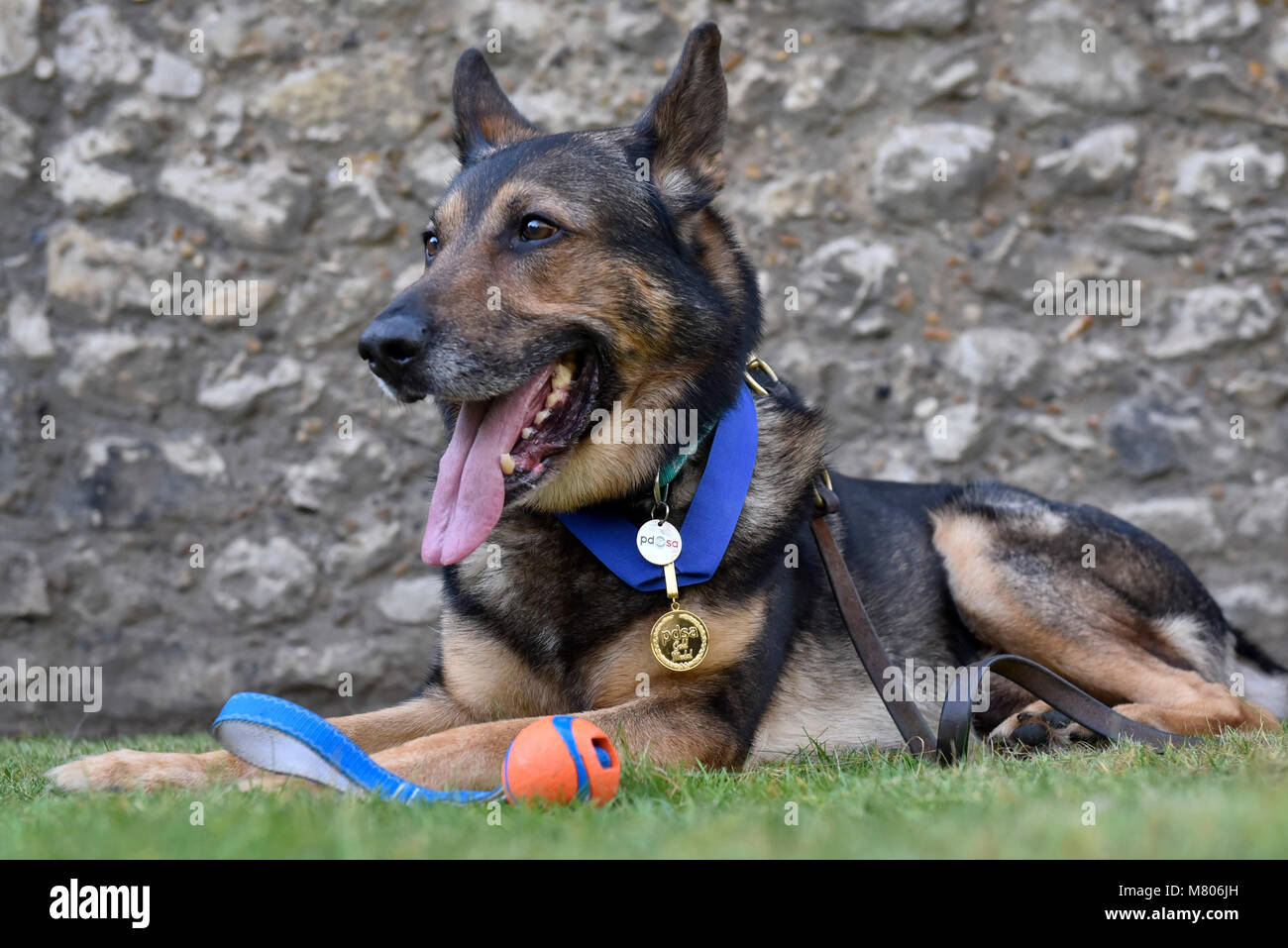 London, UK. 14 March 2018. Police Dog Finn, a courageous police dog ...