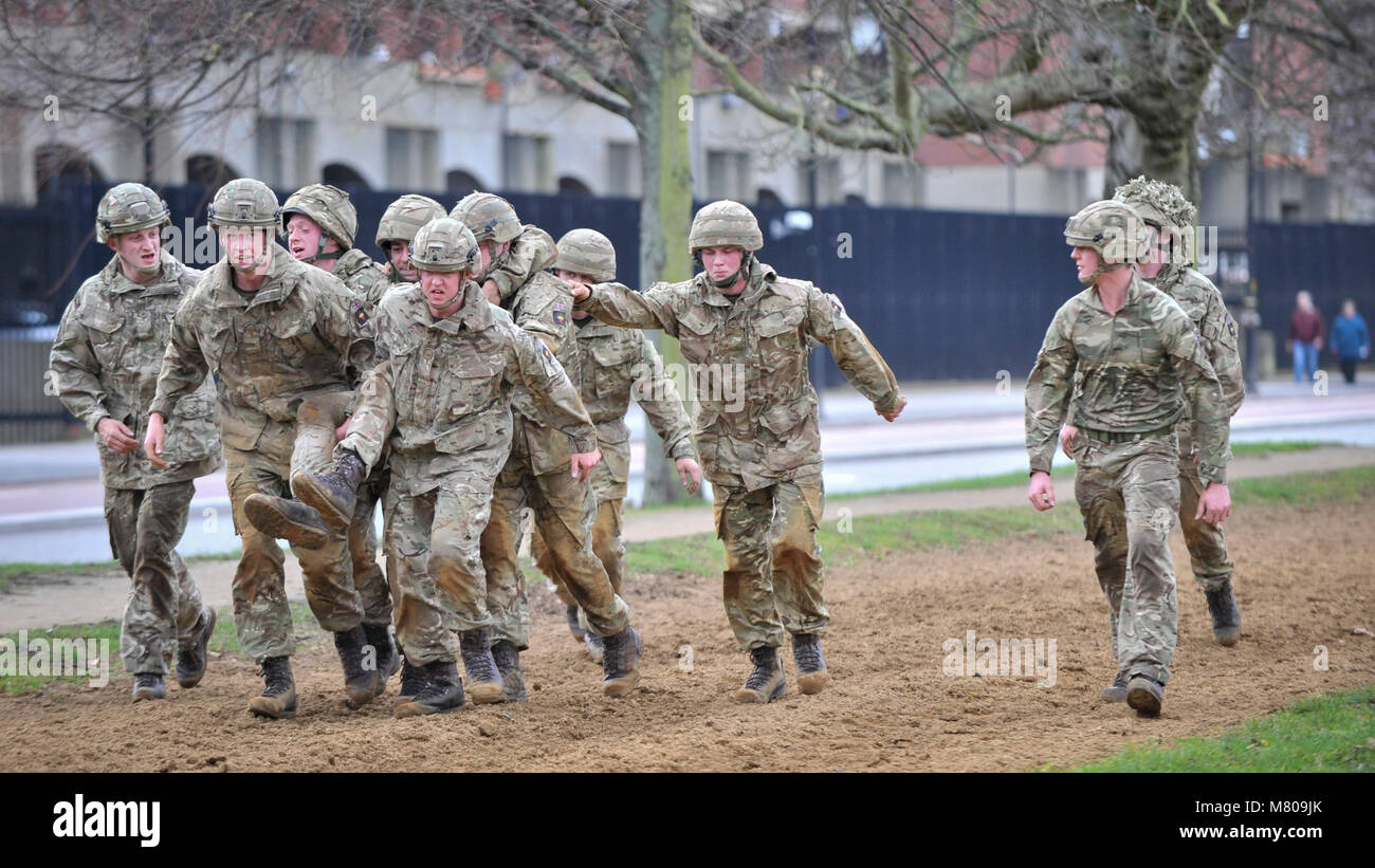Household cavalry mounted regiment training hi-res stock photography ...