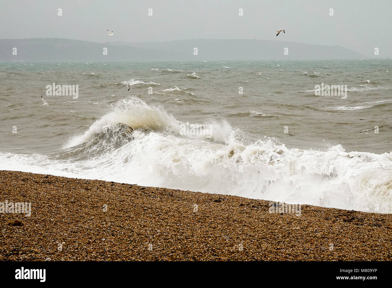 Coastal bar at slapton ley, devon hi-res stock photography and images ...
