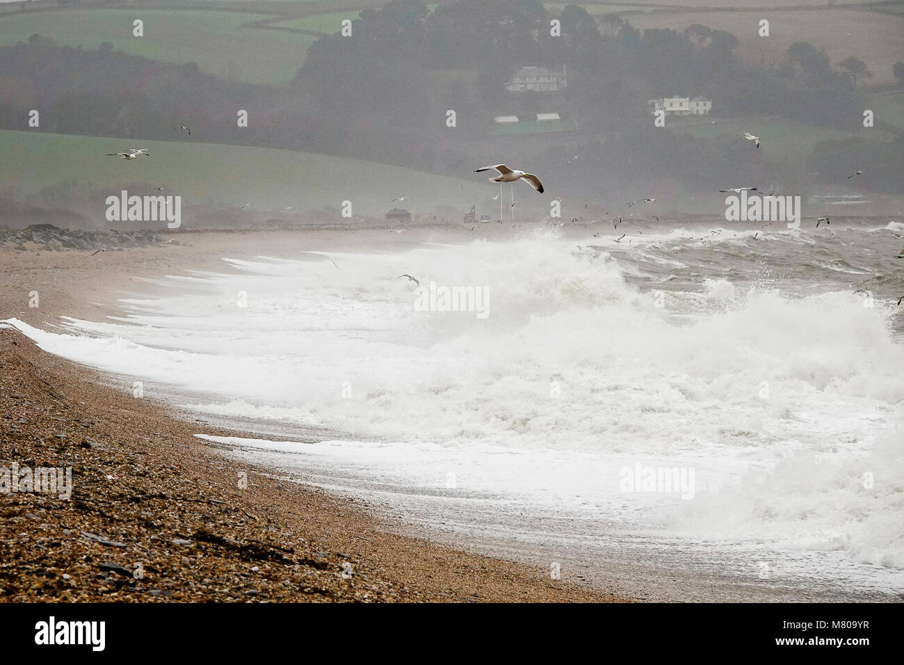 Coastal bar at slapton ley, devon hi-res stock photography and images ...
