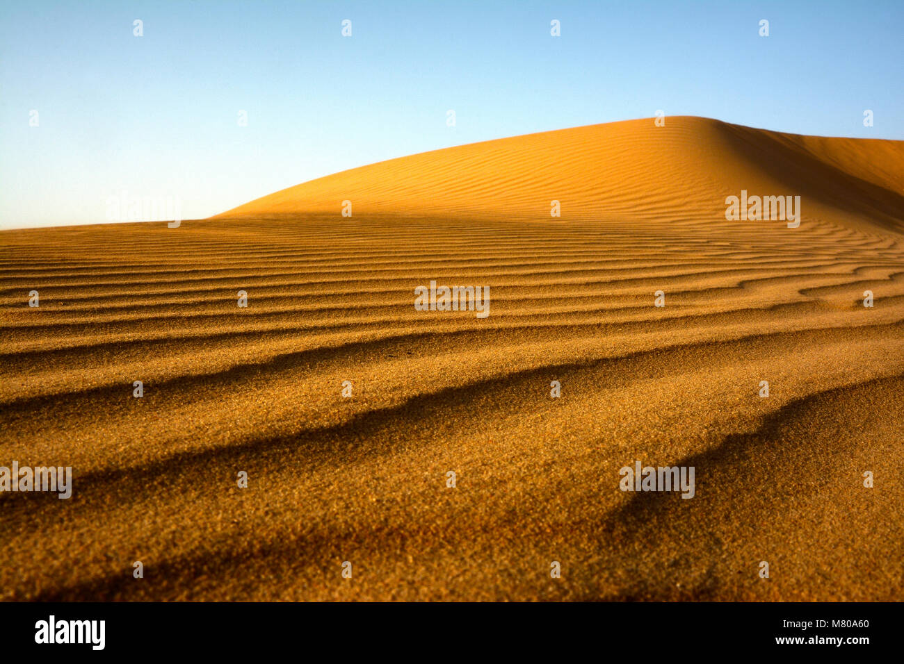 Sand dune in the south of Israel Stock Photo - Alamy