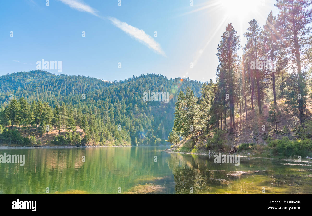 Green colored lake surrounded by pine forest with bright sunshine and ...
