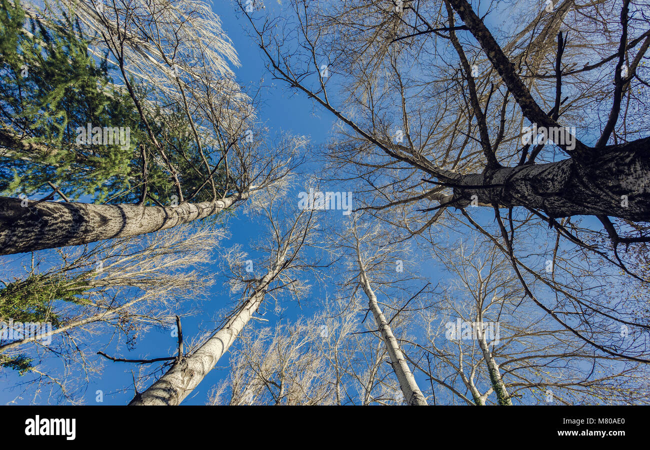 Perspective from below hi-res stock photography and images - Alamy