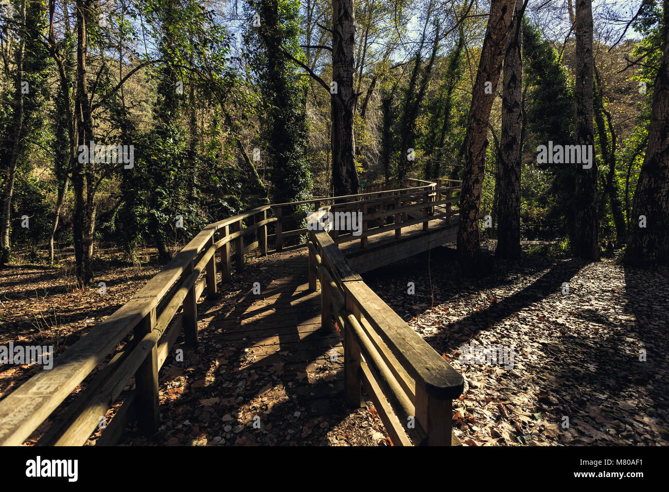 Wooden bridge in the forest Stock Photo - Alamy