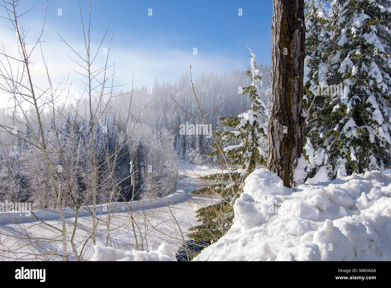 Snow covered road leading to Mt. Spokane ski resort Stock Photo - Alamy