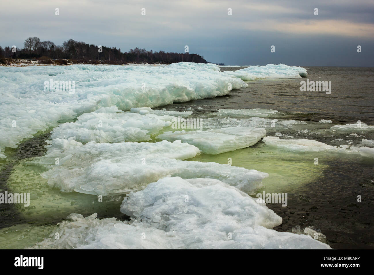 Baltic Sea Beach with Ice Floating in a Water, through Natural Frame of ...