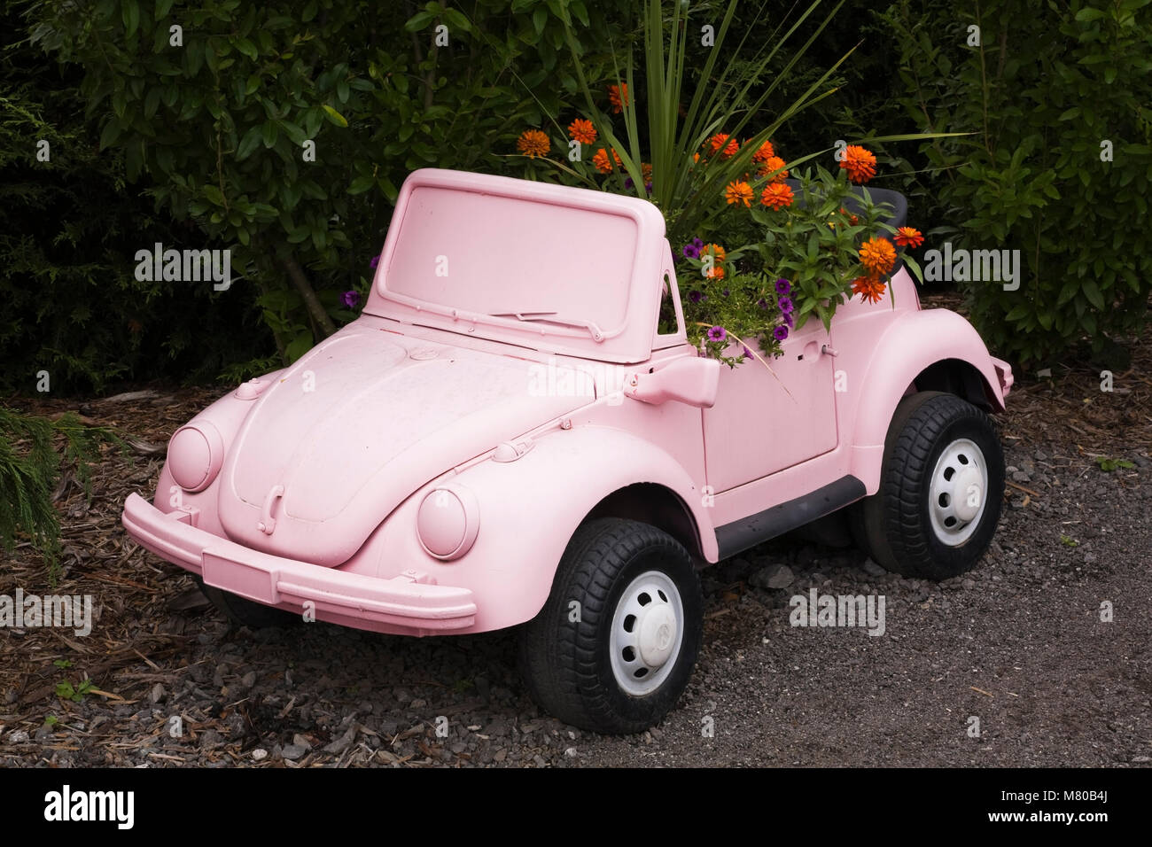 Pink Volkswagen Thing