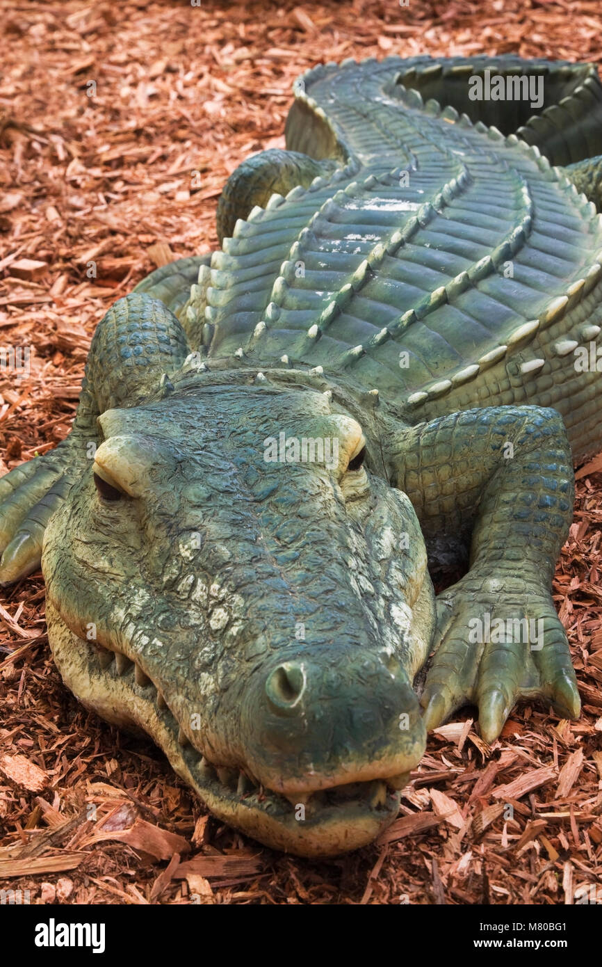 Alligator statue in a landscaped front yard garden in summer Stock ...