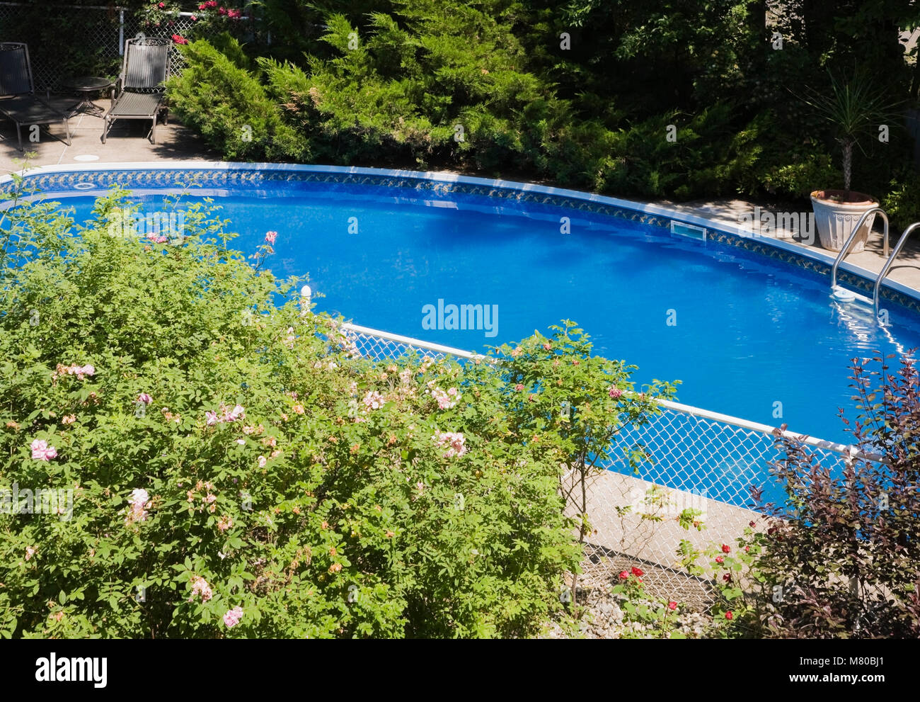 Residential inground swimming pool hi-res stock photography and images ...