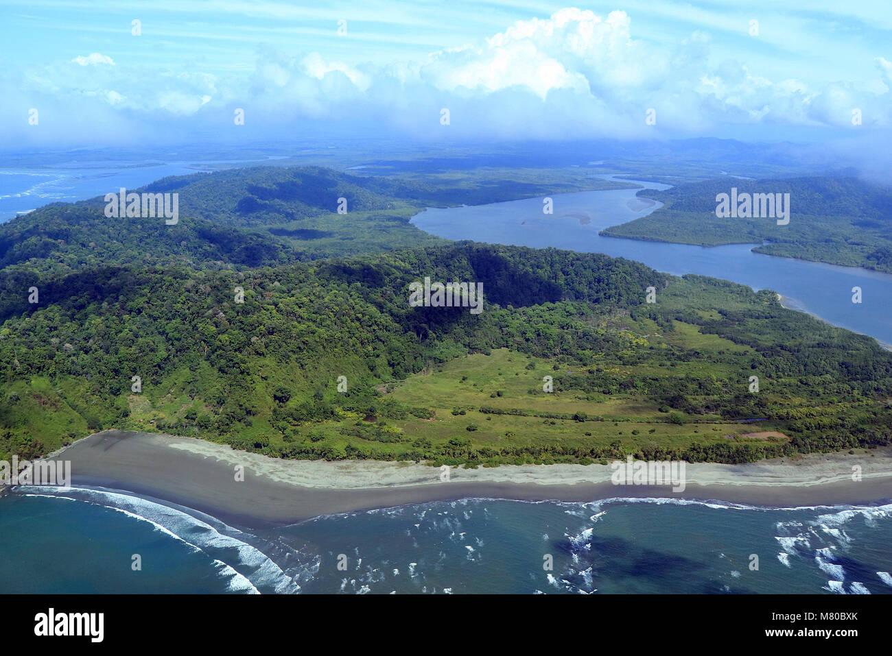 Isla violin humedal hi-res stock photography and images - Alamy