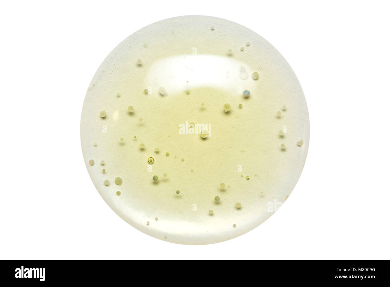 A drop of transparent gel on a white background. Gel with cleansing ...