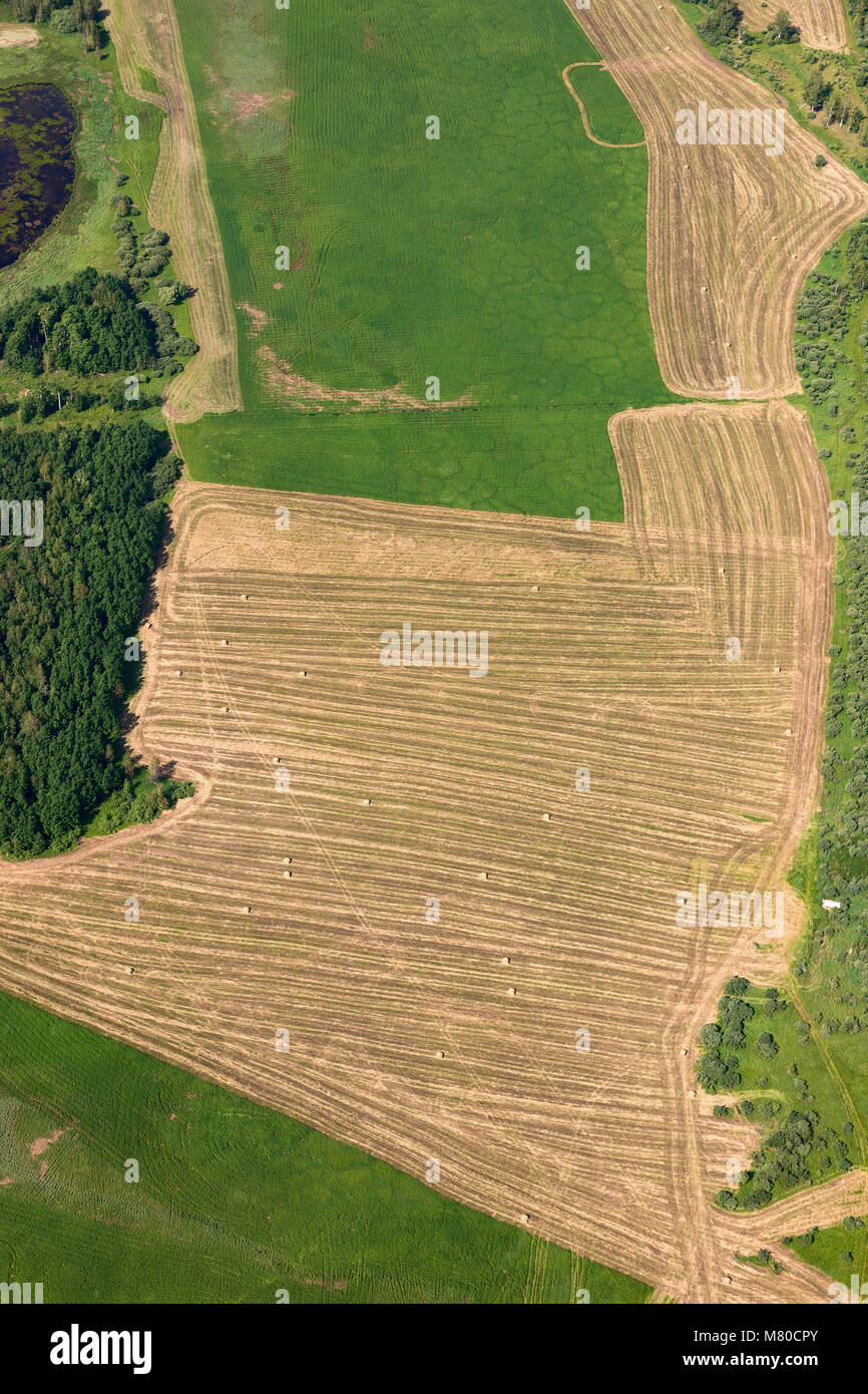Top view of a waterlogged meadow in summer Stock Photo - Alamy
